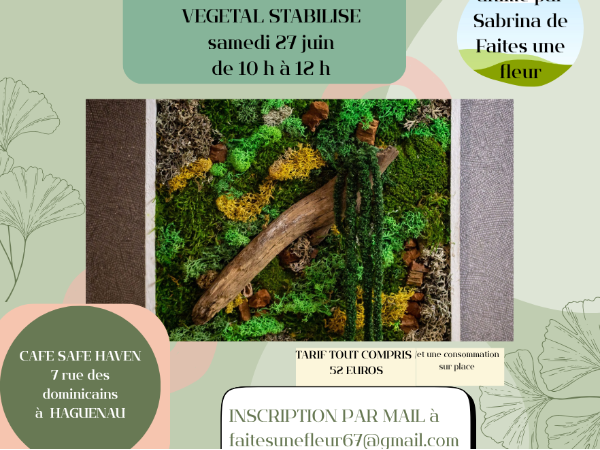 Atelier Tableau végétal stabilisé