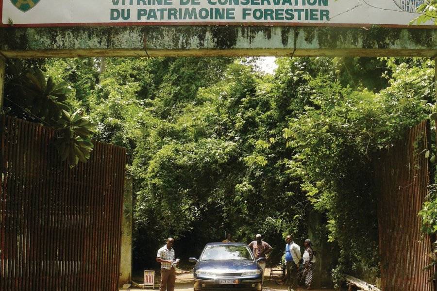 Photos du PARC NATIONAL DU BANCO Côte D'Ivoire