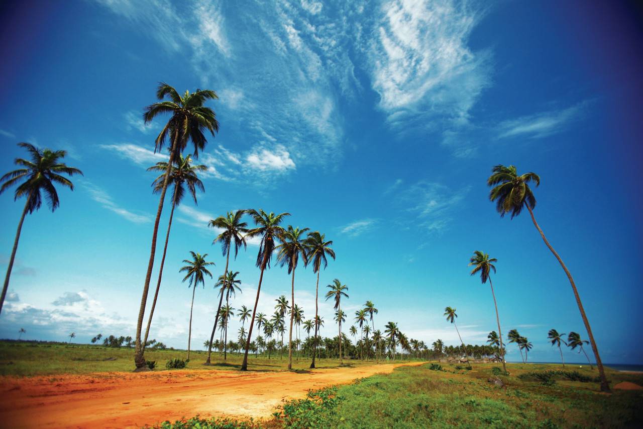 Ouidah - Guide de voyage & touristique à OUIDAH - Bénin - Petit Futé