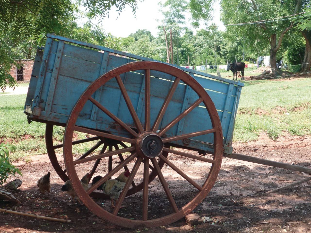 Itauguá - Guide de voyage & touristique à ITAUGUÁ - Paraguay - Petit Futé