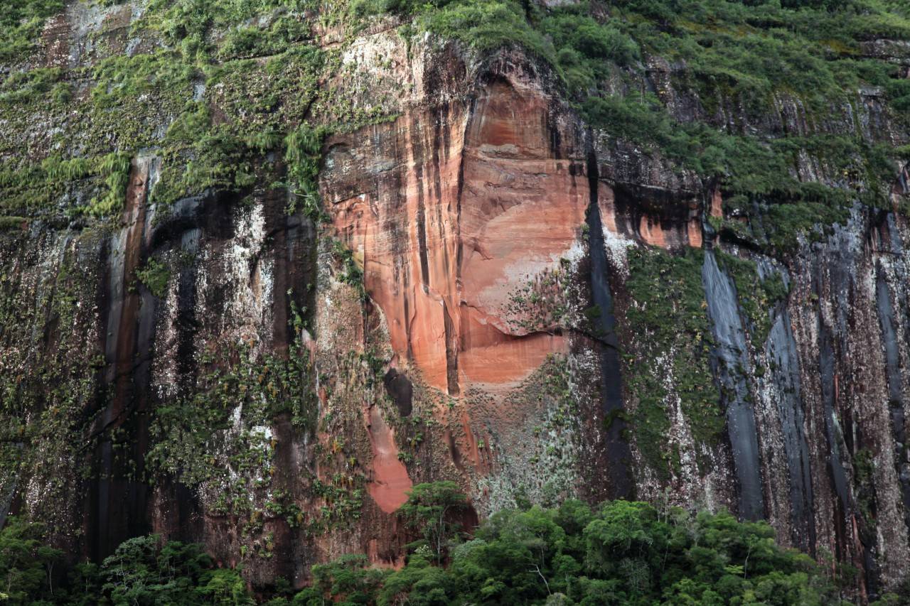 Parque Nacional Amboro - Guide de voyage & touristique au PARQUE ...