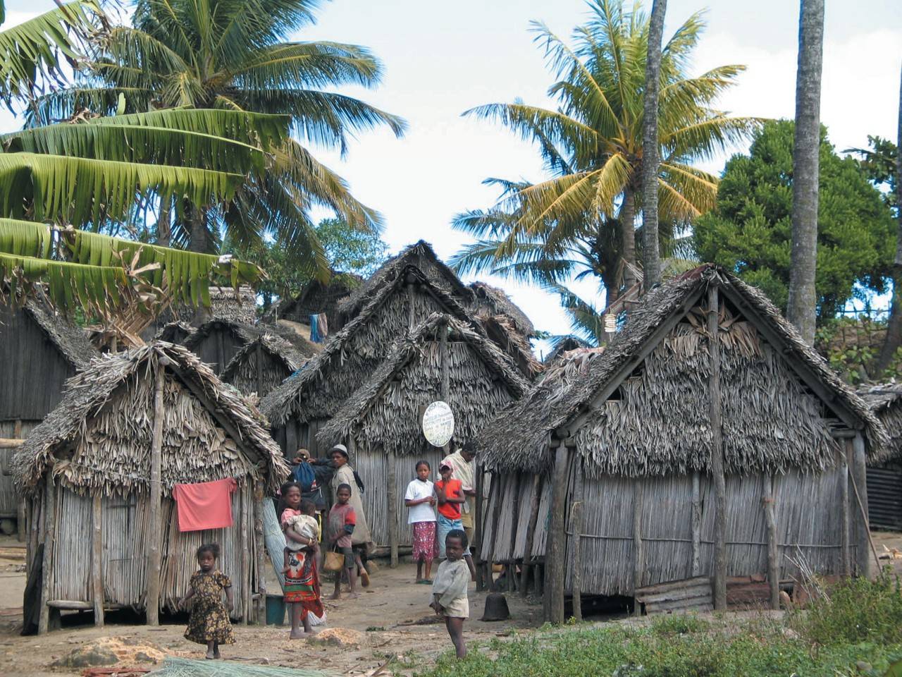 Madagascar - Guide de voyage & touristique à Madagascar - Petit Futé