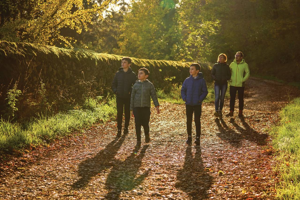 Autun - Guide de voyage & touristique à Autun - Petit Futé