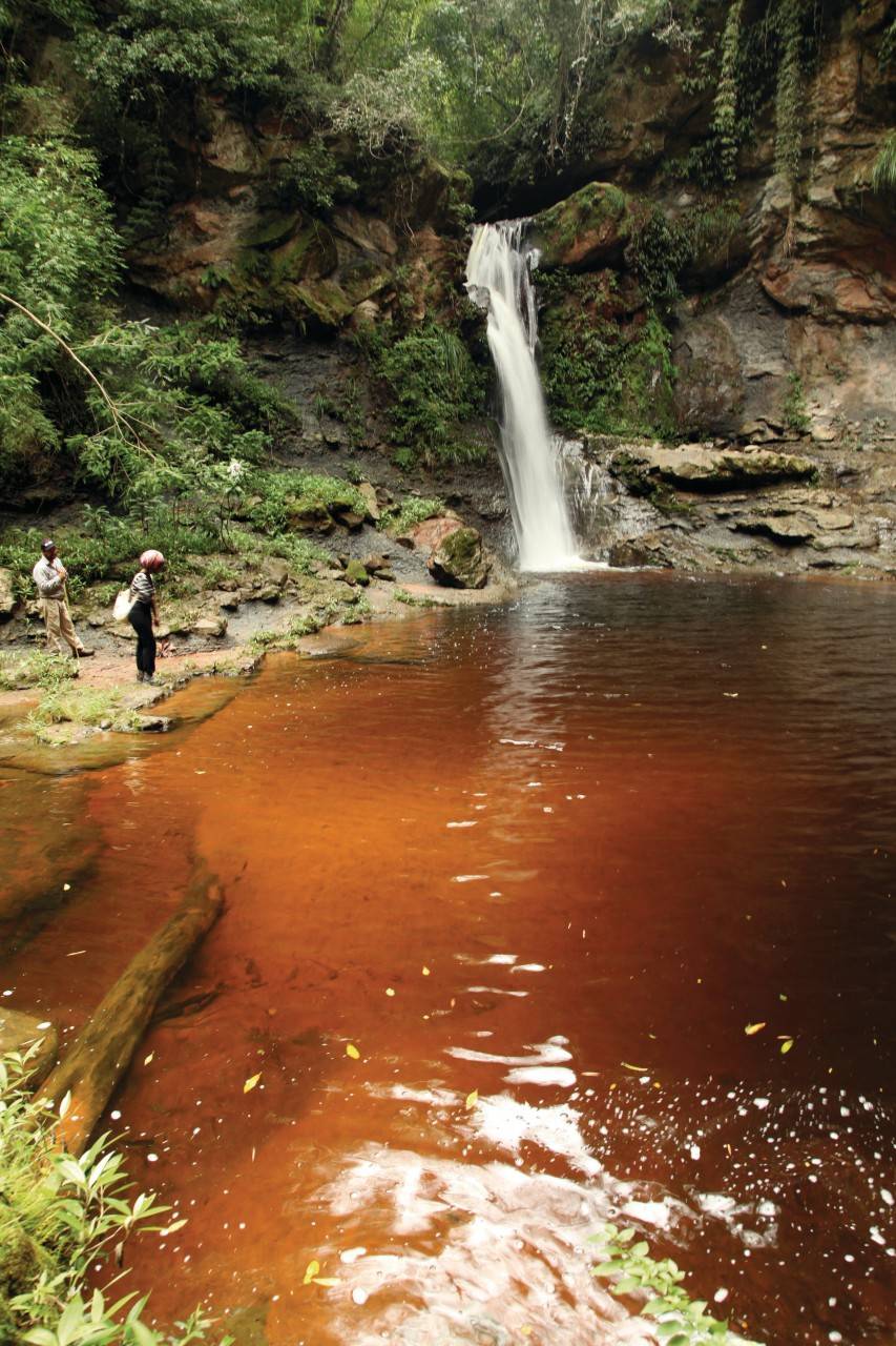 Parque Nacional Amboro - Guide de voyage & touristique au PARQUE ...