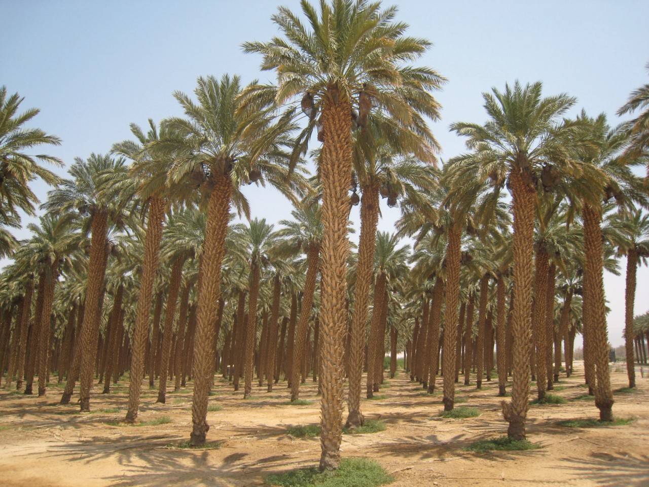 Süden - Reise- & Tourismusführer Süden - Petit Futé