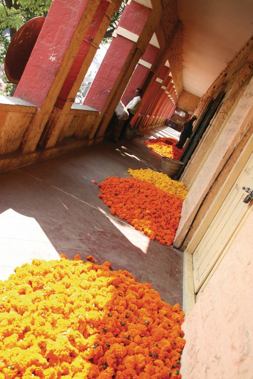 Bangalore - Guide de voyage & touristique à BANGALORE - Inde - Petit Futé
