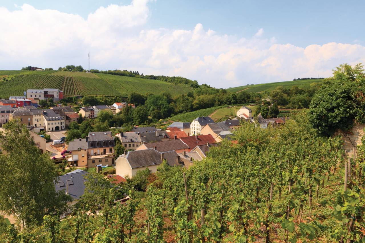 Ehnen - Guide de voyage & touristique à EHNEN - Luxembourg - Petit Futé