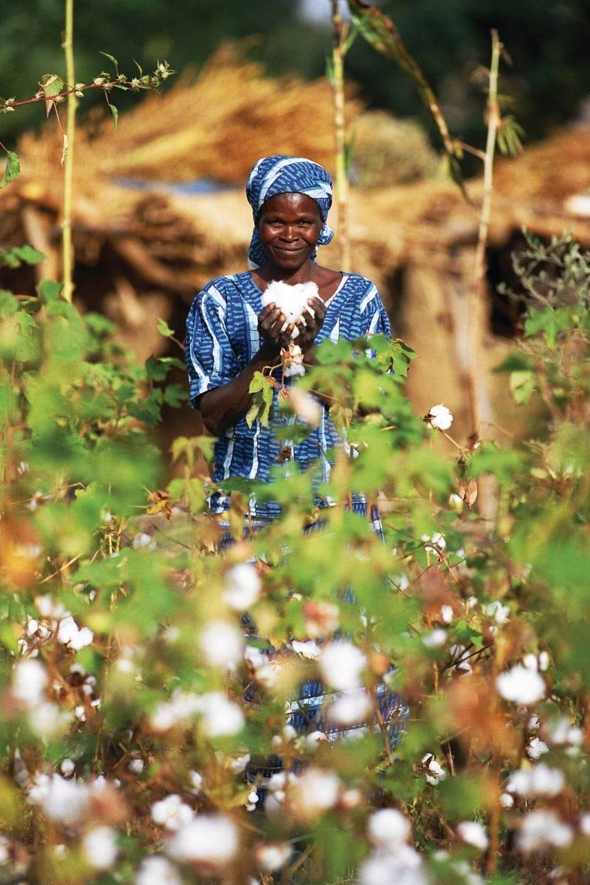 Mokolo - Guide de voyage & touristique à MOKOLO - Cameroun - Petit Futé